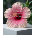 Elegant Hibiscus, Water-saving Perennial Decor for Plant Hangers & Lawn ...
