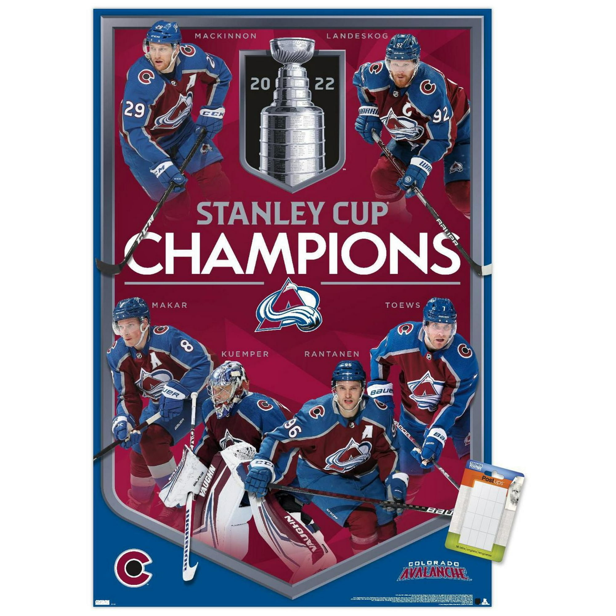 Click here for Trends International Nhl Colorado Avalanche - Stan... prices