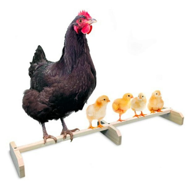 Wooden Chicken Perches, Large Wooden Bird Stand Training Hens Parrot ...