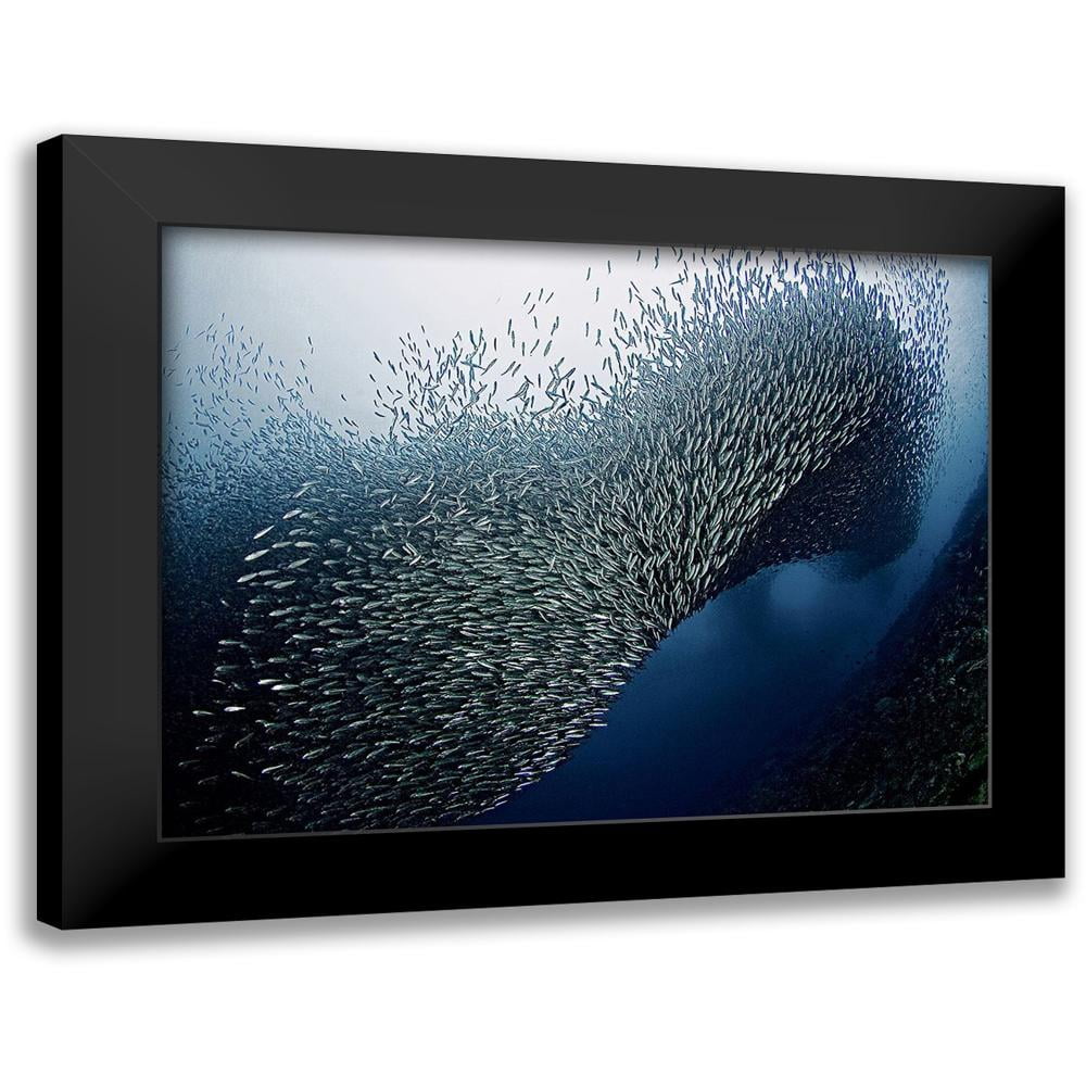 Jager, Henry 24x19 Black Modern Framed Museum Art Print Titled ...