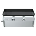Free Shipping! Nexgrill Outdoor Cooking 2 Burner Tabletop Griddle, Cast ...