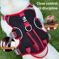 No-Pull Reflective Dog Harness and Leash Combo: Escape-Proof ...