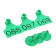 Cattle Ear Tags Numbered Large Ear Tags for Sheep Cows Goats Pigs Calf ...