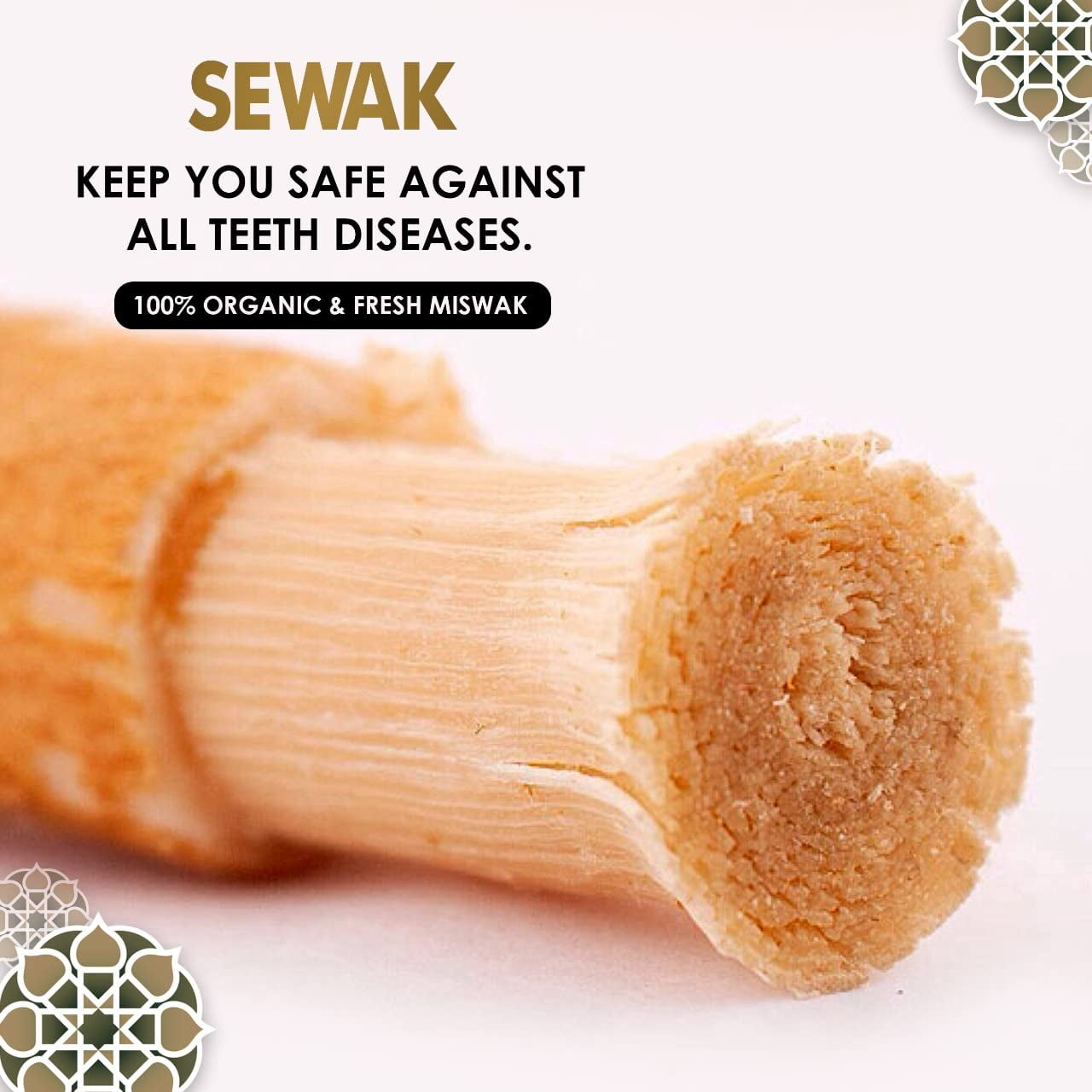 Buy Sewak Natural Miswak Traditional Toothbruh 12 Pack No Flavor All ...