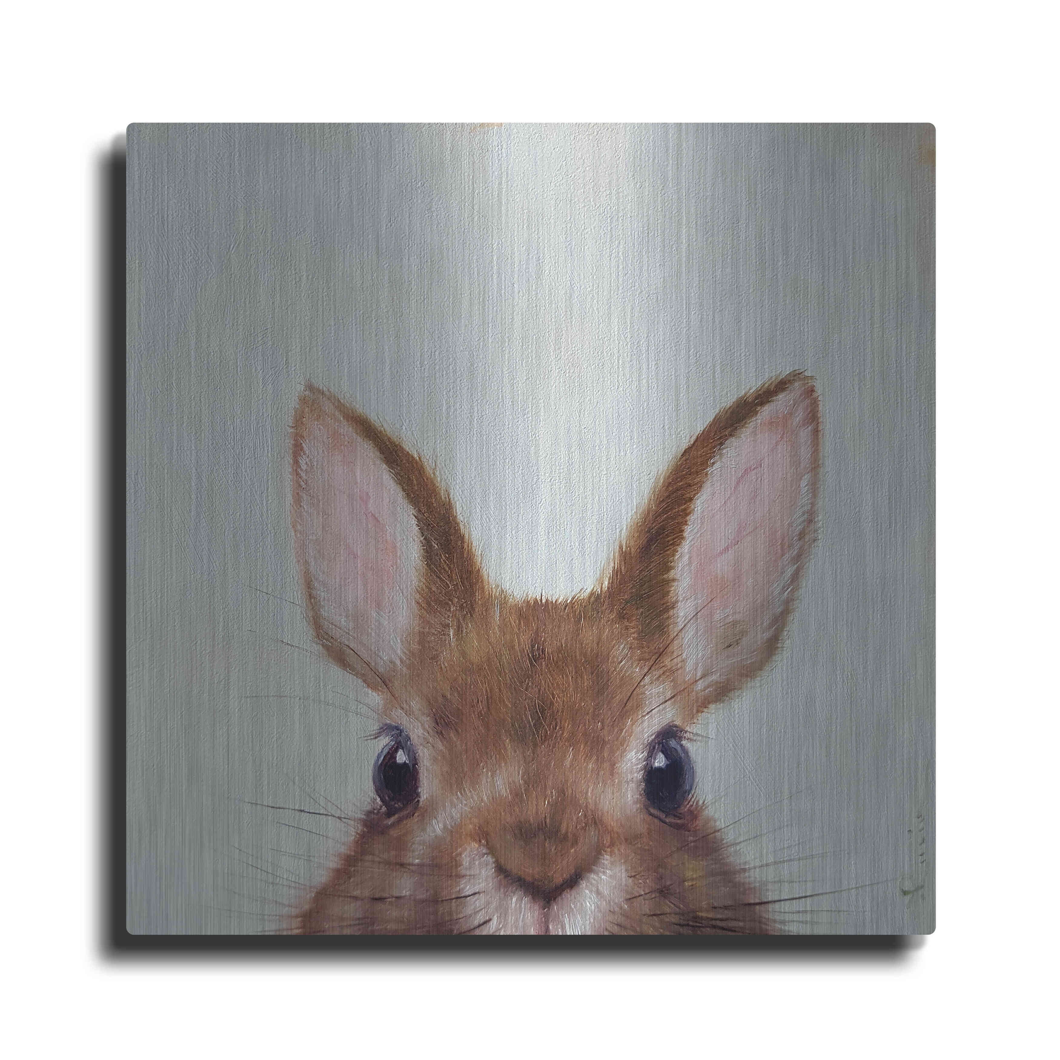 Luxe Metal Art 'Peek a Boo' by Lucia Heffernan, Metal Wall Art, 12"x12 ...