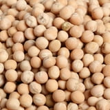 Rani Yellow Peas Whole, Dried (Vatana, Matar) 400oz (25lbs) 11.36kg ...