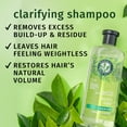 Herbal Essences Tea Tree Clarifying Shampoo, 13.5 fl oz, Residue-Free, pH-Balanced, Cruelty-Free ...