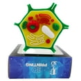 1. Detailed Plant Cell Anatomy Model Biology Classroom Teaching Tool ...