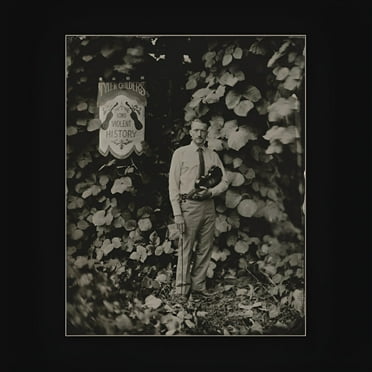 Stillwater (CD) - Walmart.com