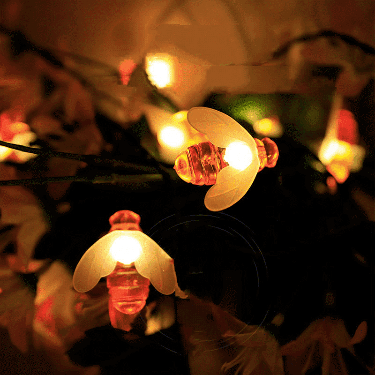 Outdoor Summer Party Lights