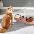 Gifts Kcavykas Dog Cat Dual Feeding Bowl Two-in-One Water and Food Pet ...