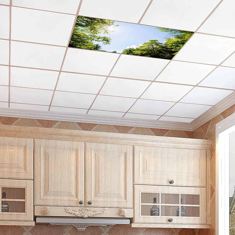 Decorative Fluorescent Light Covers