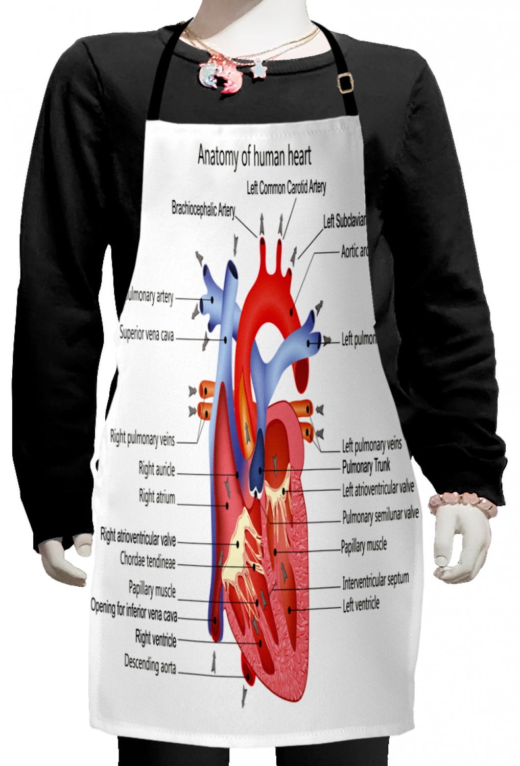 Educational Kids Apron, Medical Structure of the Heart Human Body ...
