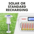 Tenergy NiCD AA 1.2V 1000mAh Rechargeable Battery, 24 pack, for Solar/Garden Lights - Walmart.com
