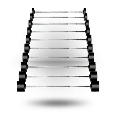 Synergee Fixed Barbell Pre Weighted Straight Steel Bar with Rubber ...