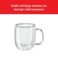 ZWILLING Sorrento Plus 2-pc Double-Wall Glass Espresso Mug Set - Walmart.com
