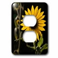 3dRose New Mexico, Santa Fe. Backlit sunflower - 2 Plug Outlet Cover ...