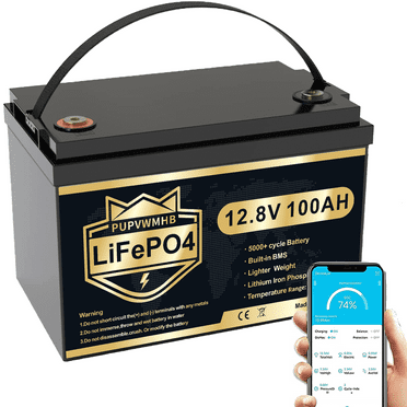 PUPVWMHB 12V 300Ah MINI LiFePO4 Lithium Battery, Bluetooth Lithium ...
