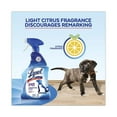 Lysol Pet Solutions –Disinfecting Cleaner, Citrus Blossom Scent, 32 FL ...