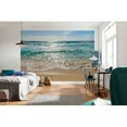 Komar Serafina Paste Included Paper Wall Mural, 99.6-in by 145.2-in ...