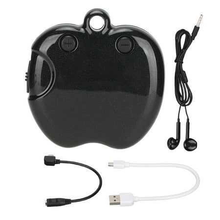 Mini Recording Device, Mini Voice Activated Recorder Stylish Classic ...