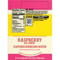 Topo Chico Sparkling Mineral Water with Raspberry and Lemon Cans 12 fl ...