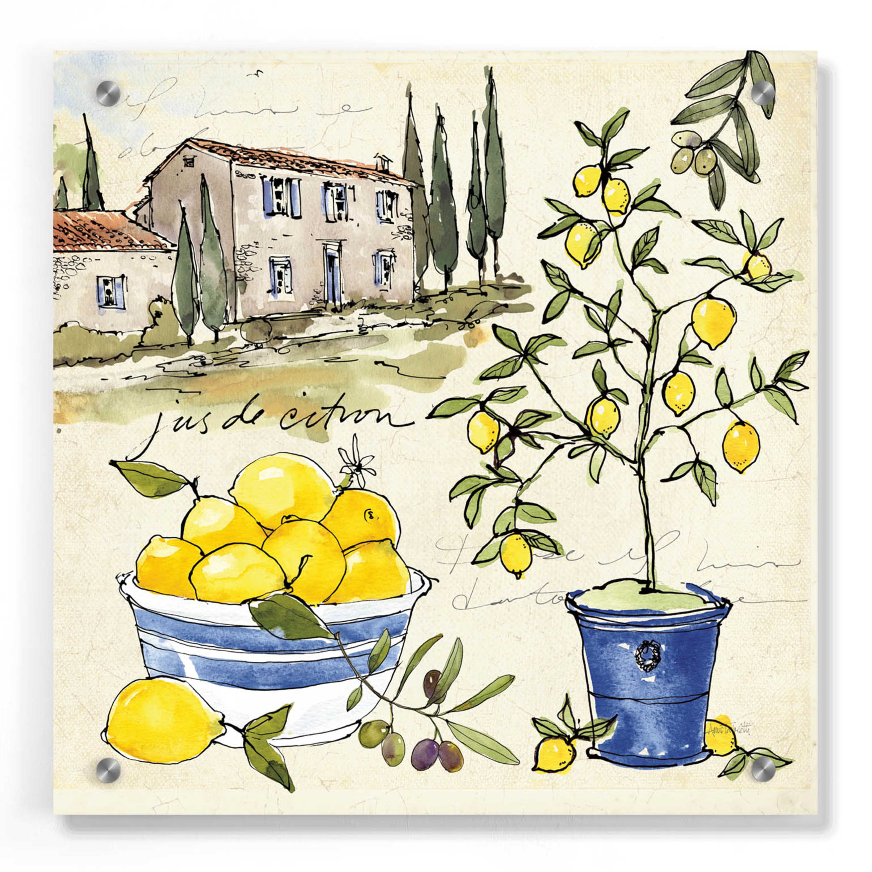 Epic Art 'Citron III' by Ann Tavoletti, Acrylic Glass Wall Art, 36"x36 ...