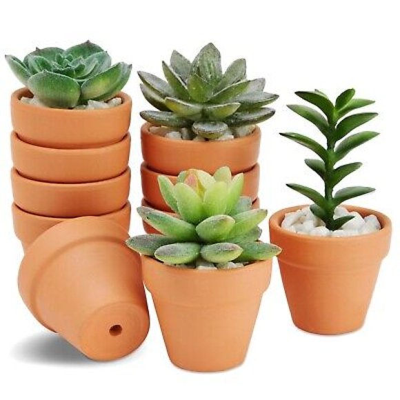 2 Inch Pots