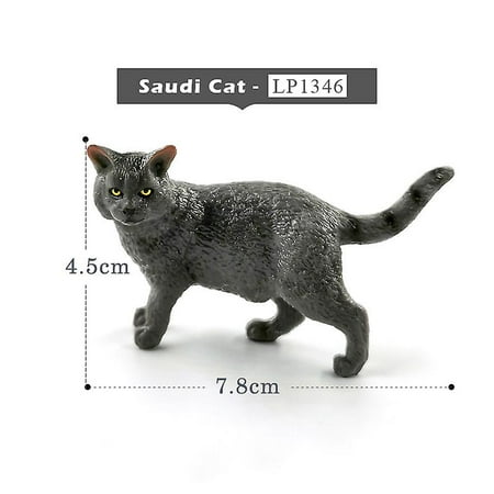 Komodo Dragon Wolf Dog Cat Sloth Rabbit Lizard Parrot Cormorant Fox/14 ...