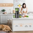DARKIRON Cold Press Juicer, Masticating Juicer with 5.4" Large Feed ...