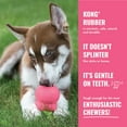 KONG® Puppy Binkie Stuffable Dog Toy, Pink, Small for Beginner Chewers ...