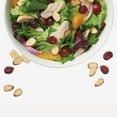 Salad Pizazz! Dried Cranberries & Honey Almonds, 7 oz - Walmart.com