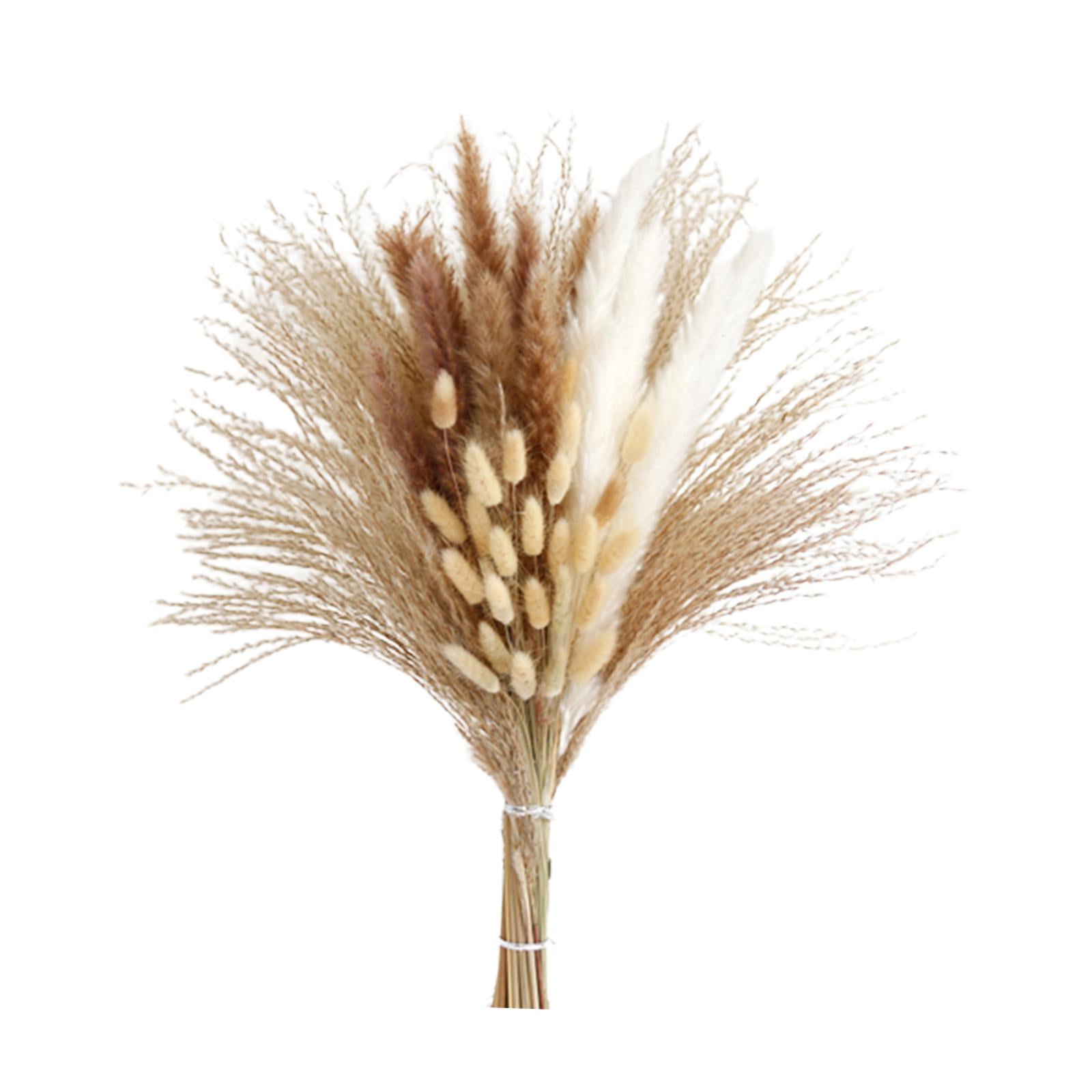 Click here for Lipstore Natural Pampas Grass Mix Bouquet Dried Fl... prices