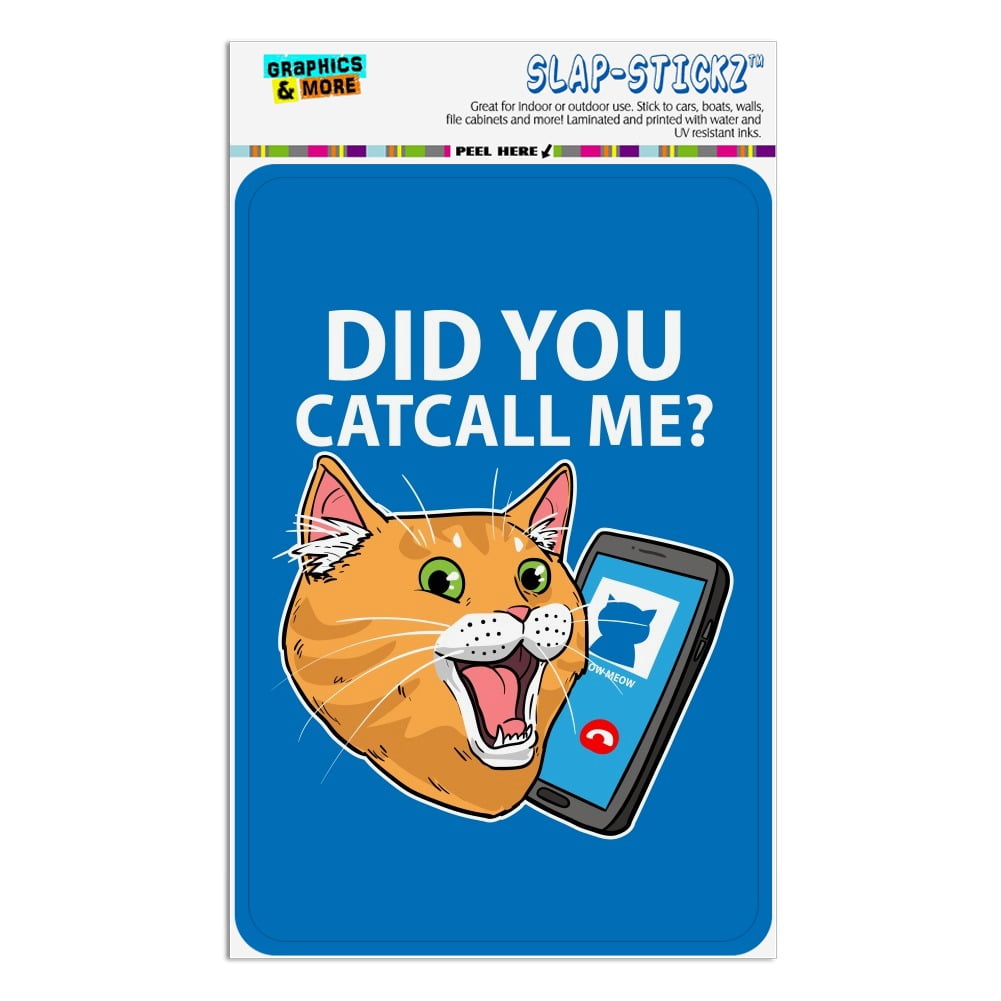Did You Catcall Me Cat With Phone Home Business Office Sign - Walmart.com
