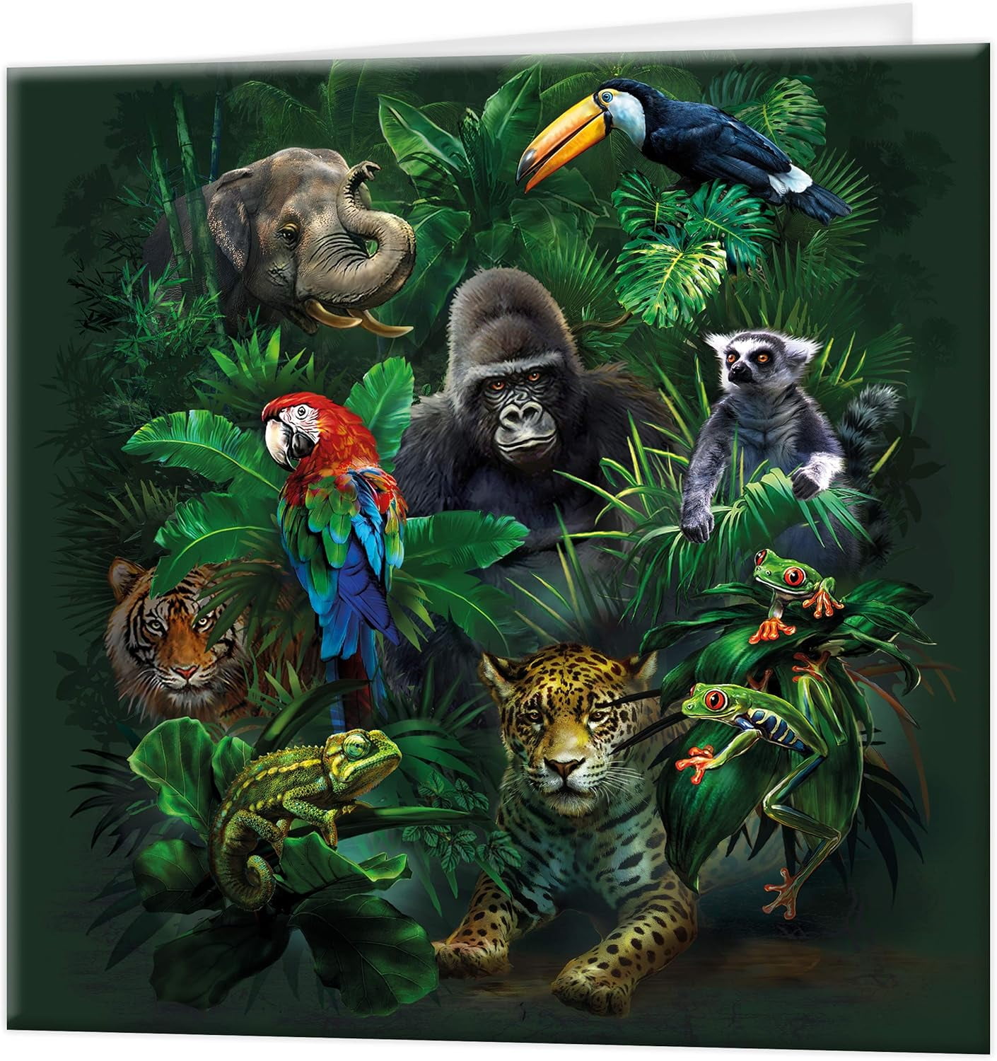 CHL-Greeting Card - Jungle Pals, Colourful Forest Animal Lenticular 3D ...