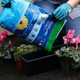 Miracle-Gro Moisture Control Potting Mix 6 qt. - Walmart.com