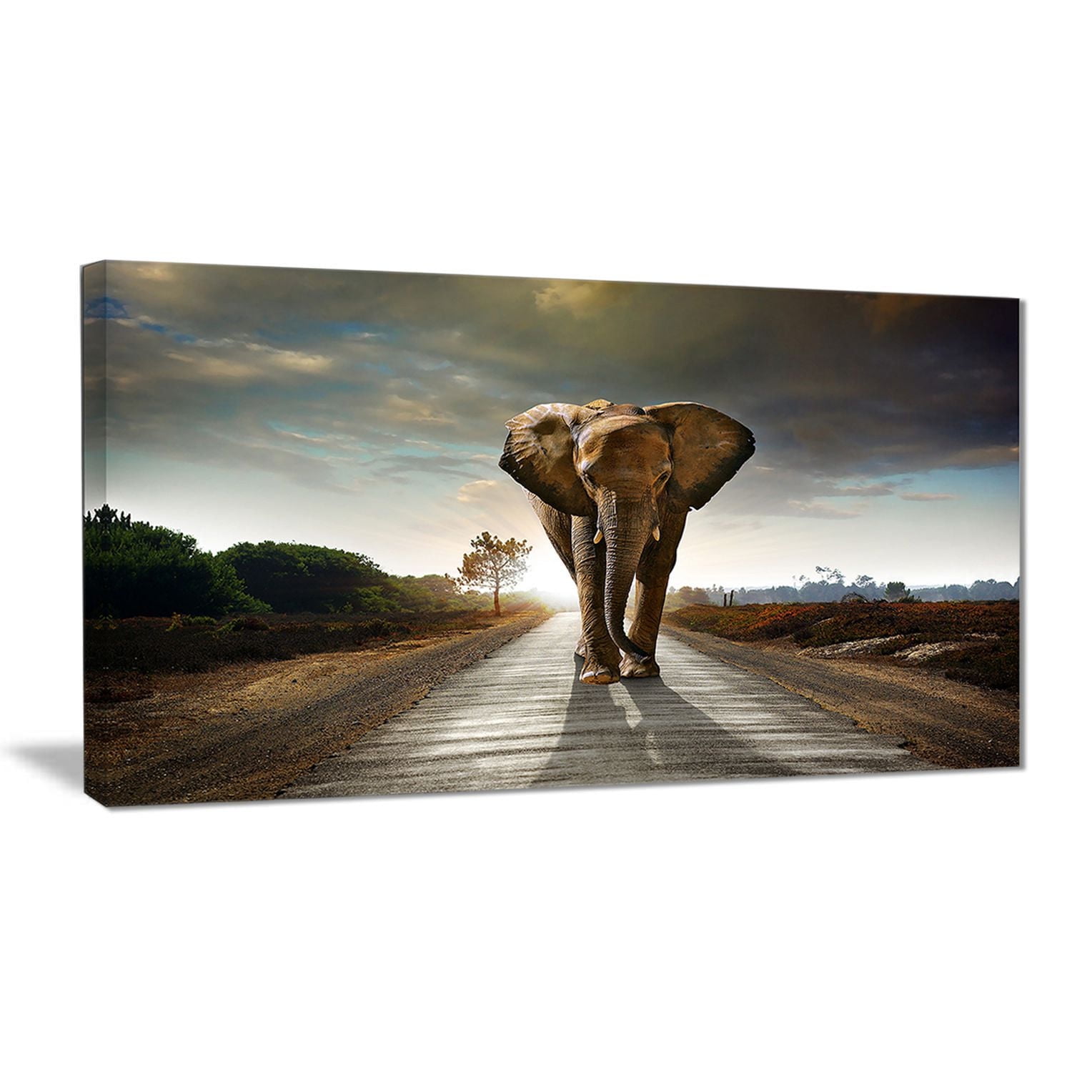 Click here for Designart Design Art Single Walking Elephant Photo... prices