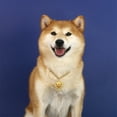 4lots Fortunate Neck Jewelry Necklace Long Lifes Lock Collar Dog Neck ...