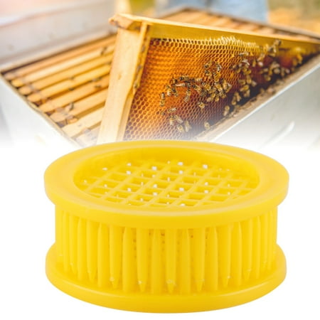 Rdeghly Queen Bee Rearing Box Cell,6 Pcs Queen Bee Rearing Box Cell ...