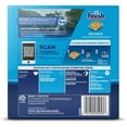 Finish Deep Clean Automatic Dishwasher Gel Packs, Machine Cleaner, 32 ...