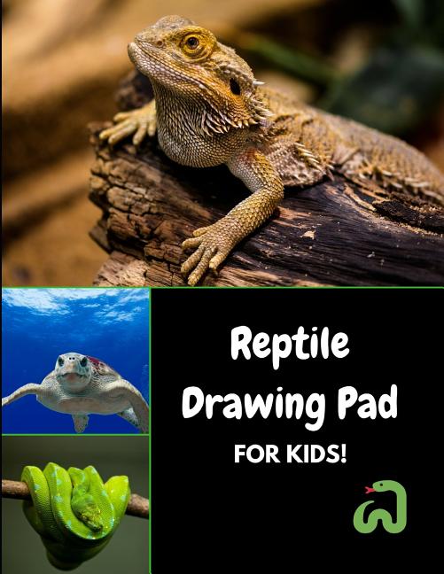 Reptile Drawing Pad: Sketch, Color and Draw Snakes, Lizards and Turtles ...