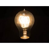 Bulbrite LED Victorian Loop Filament Light Bulb, Antique, 40WE, 1 Ct ...