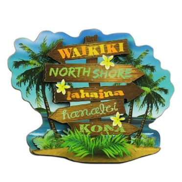 Souvenir Magnet Hawaii Magnet 3 Pack Flower - Walmart.com