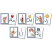 North Star Teacher Resources American Sign Language Cards, Number 0-30 ...