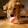 Interactive Dog Toy With Rope Motion Activated Electric Rolling Toy ...