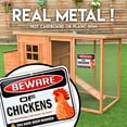 Bigtime Signs Beware of Chickens Metal Warning Sign 9""x12 - Walmart.com