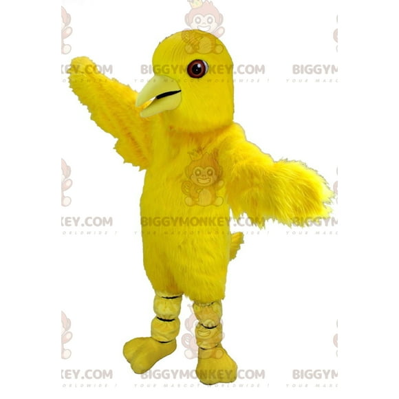 Big Bird Adult Costume