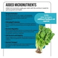 15-5-20 Water Soluble Fertilizer - Lower pH for Hydroponics, Leaf ...