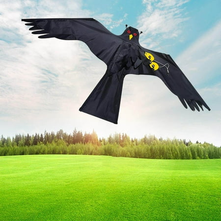 enqiretly Lifelike Large Flying Hawk Kite Reflective Eye Kite Yard ...