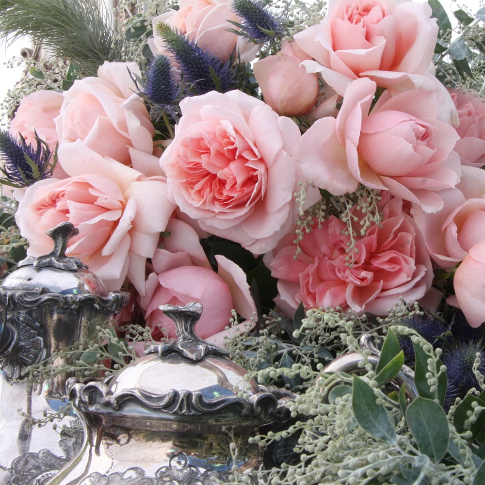 Heirloom Roses Rose Plant - Relais & Chateaux Floribunda - Live Pink ...